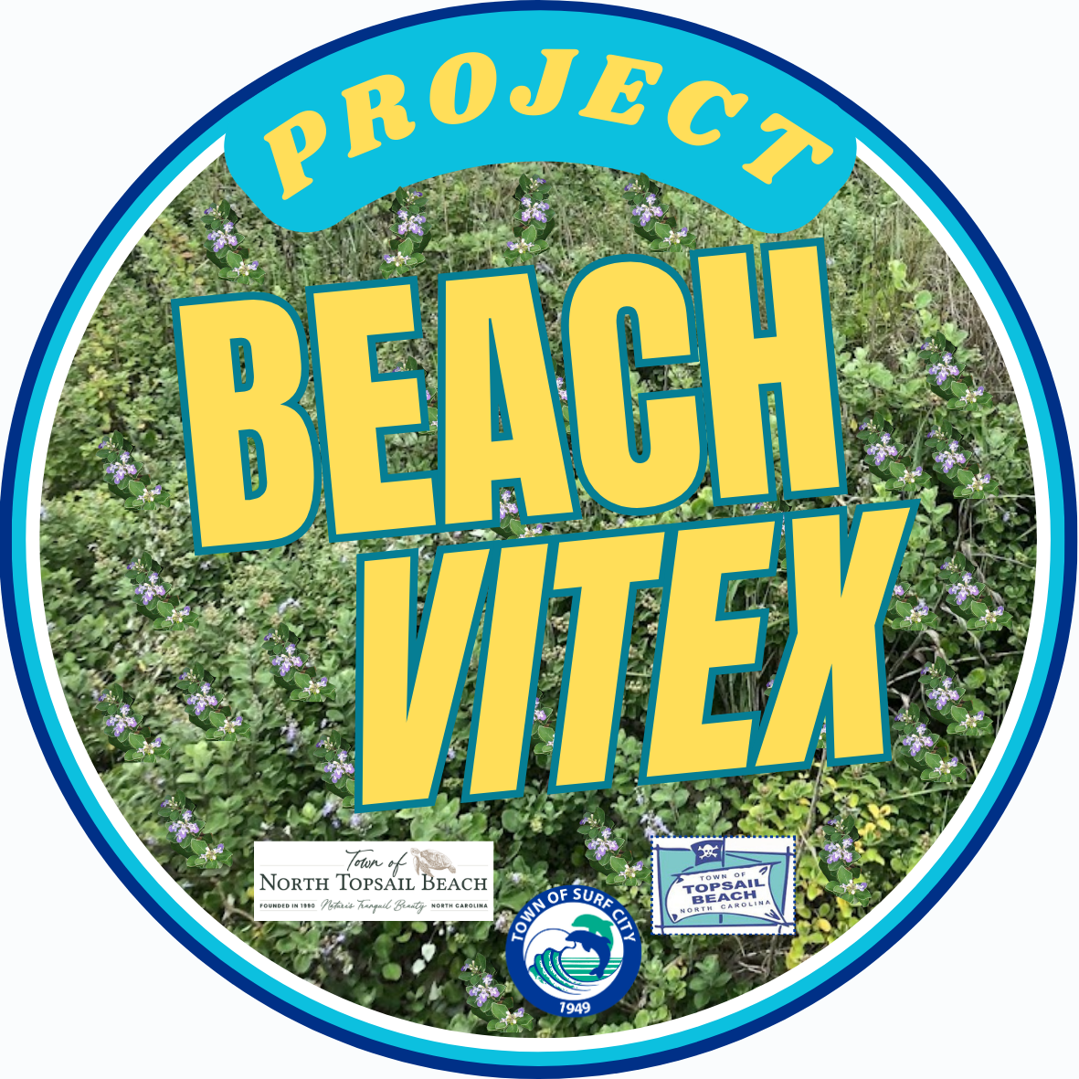 Topsail Island Vitex Eradication Project – Topsail Island Shoreline ...